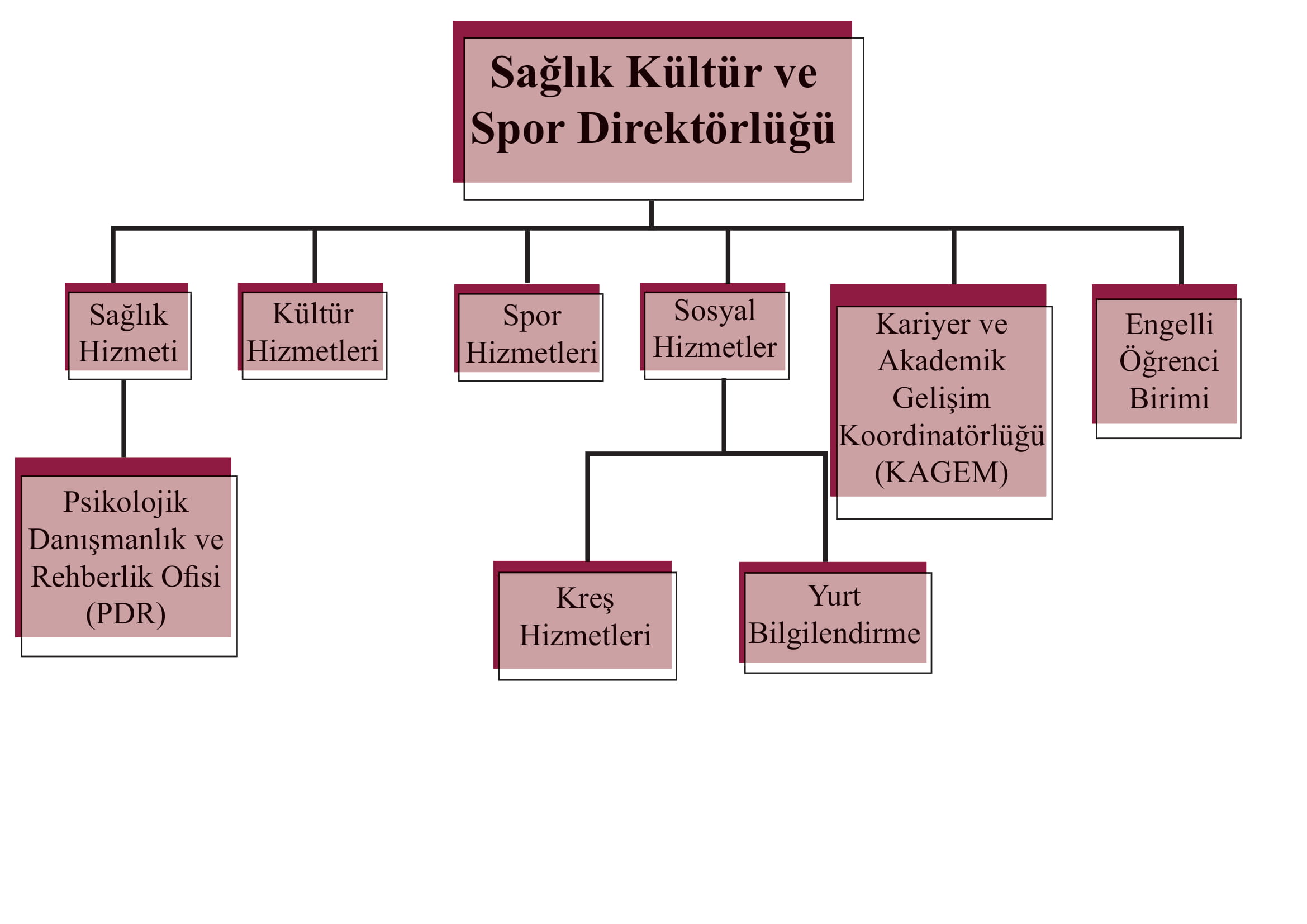 Organizasyon Şeması